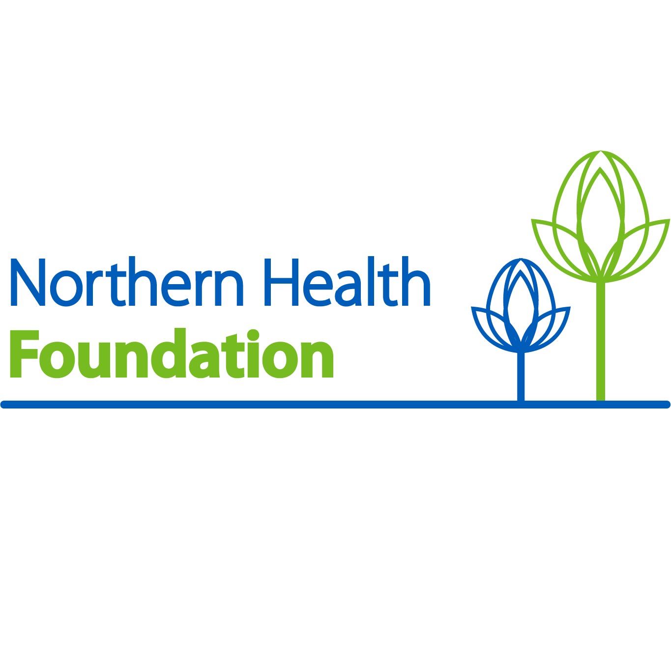 Donate to Northern Health Foundation