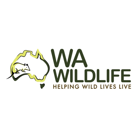 #1 Crowdfunding & Online Fundraising Site in Australia | mycause