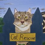 #1 Crowdfunding & Online Fundraising Site in Australia | mycause