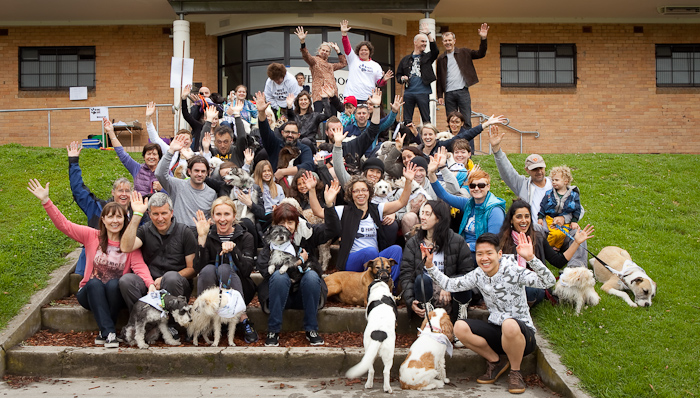 2015 Paws For A Cause Charity Dog Walk | The 'Paws ...