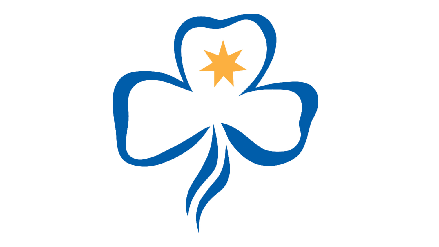 Geelong Girl Guides