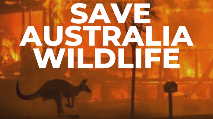 Save Australia's Wildlife