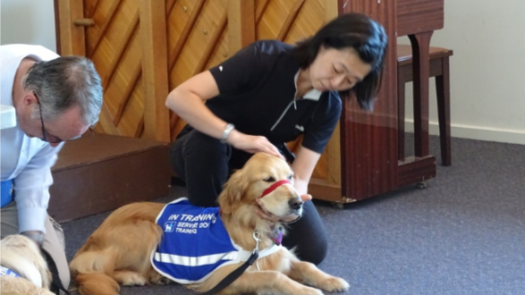 Paws across the globe; Australian service dogs Japanese expedition
