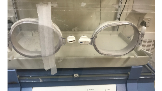 Lort Smith's Urgent Humidicrib Appeal