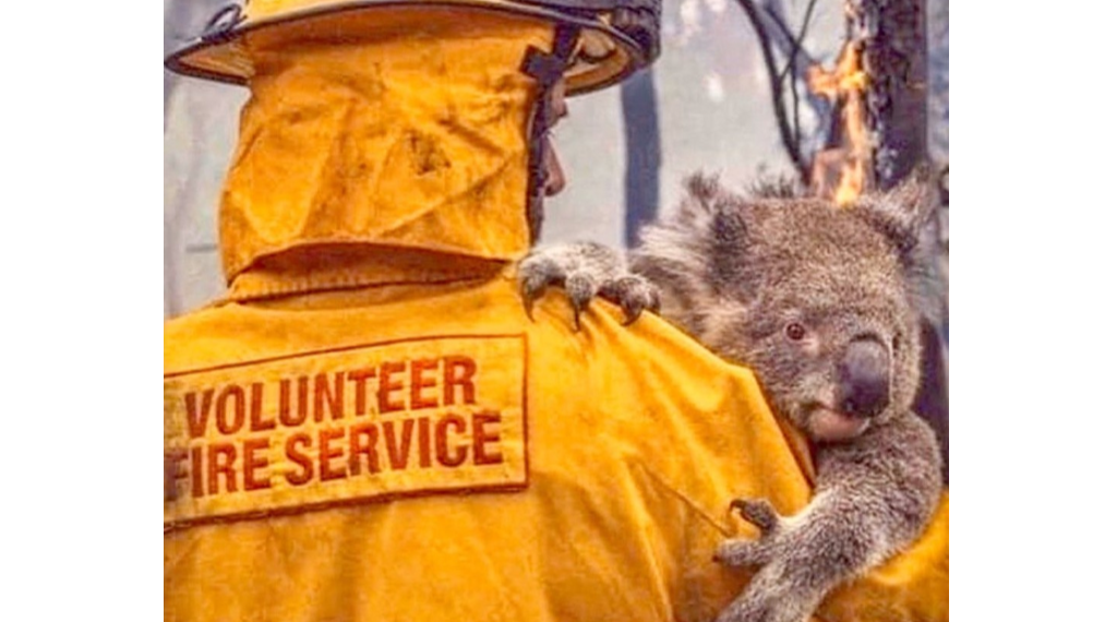 Save Innocent Lives - Australia Bushfire Relief