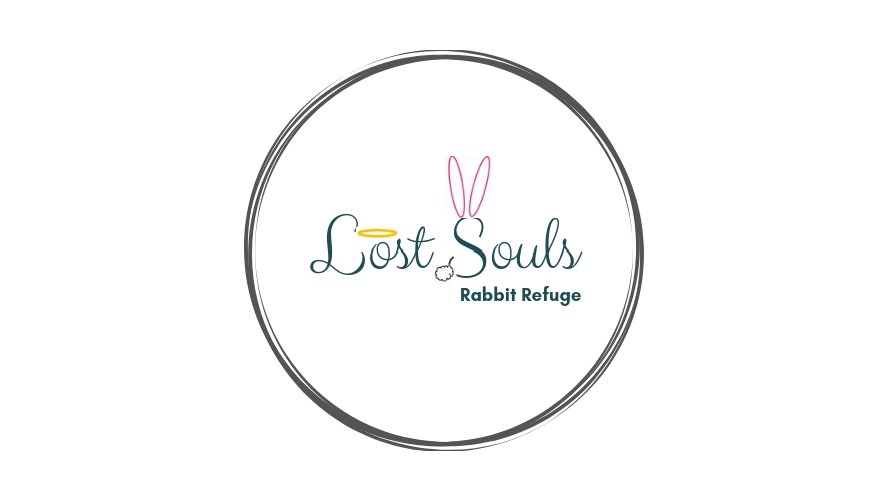 Lost Souls Rabbit Refuge