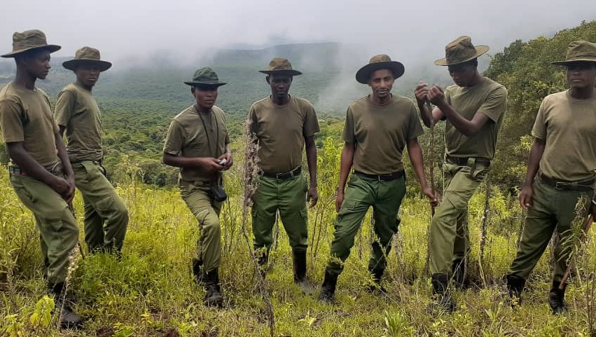 Recognising World Ranger Day and Supporting Rangers in Tanzania, Brazil ...