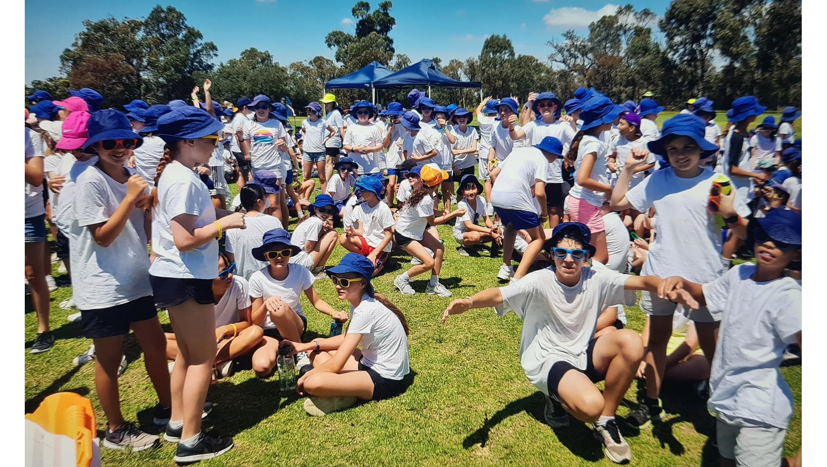 6C Miss Gibb's Class