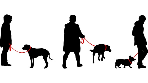 Dog Walkers Anonymous