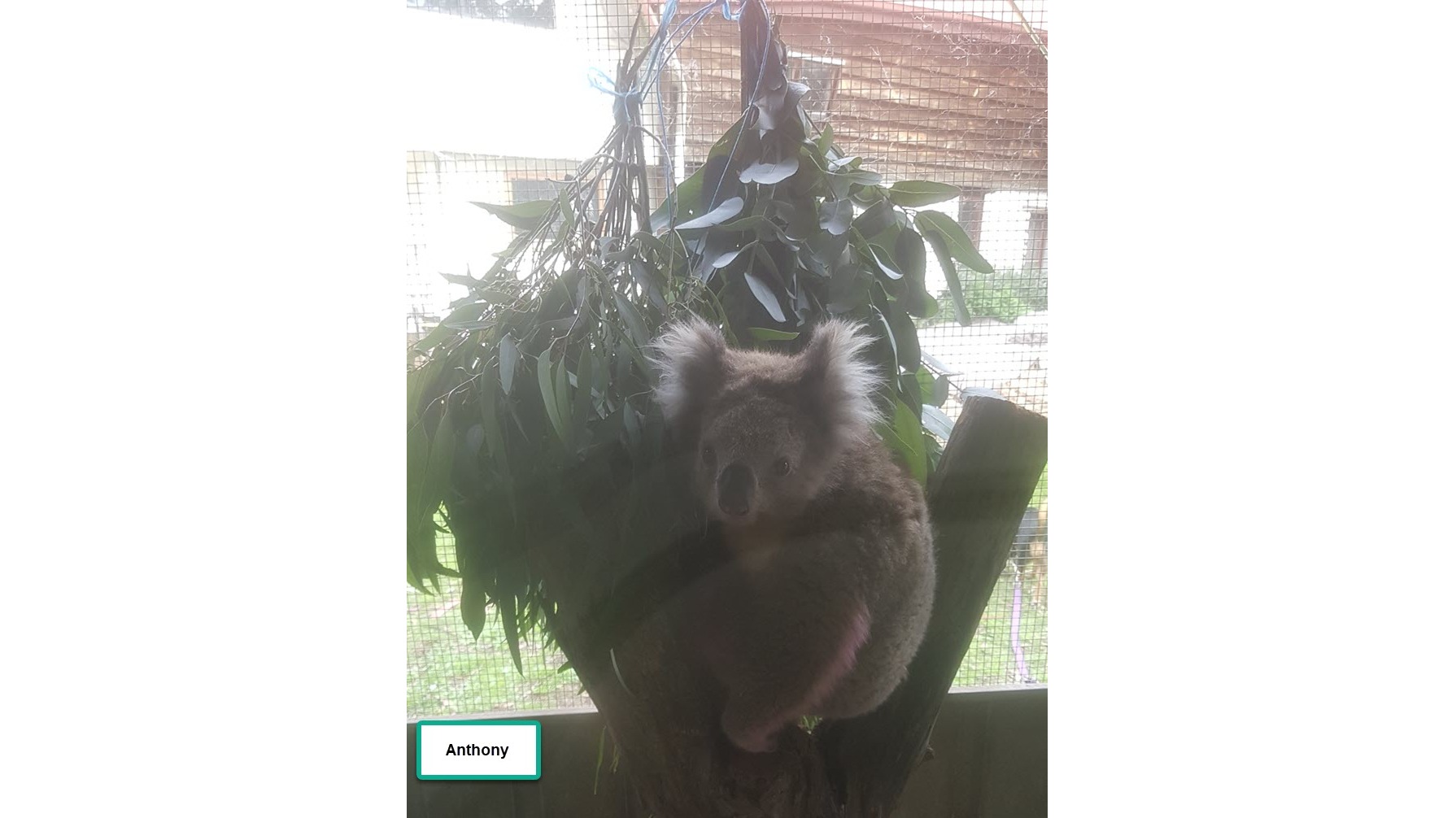 Namaste Animal Shelter