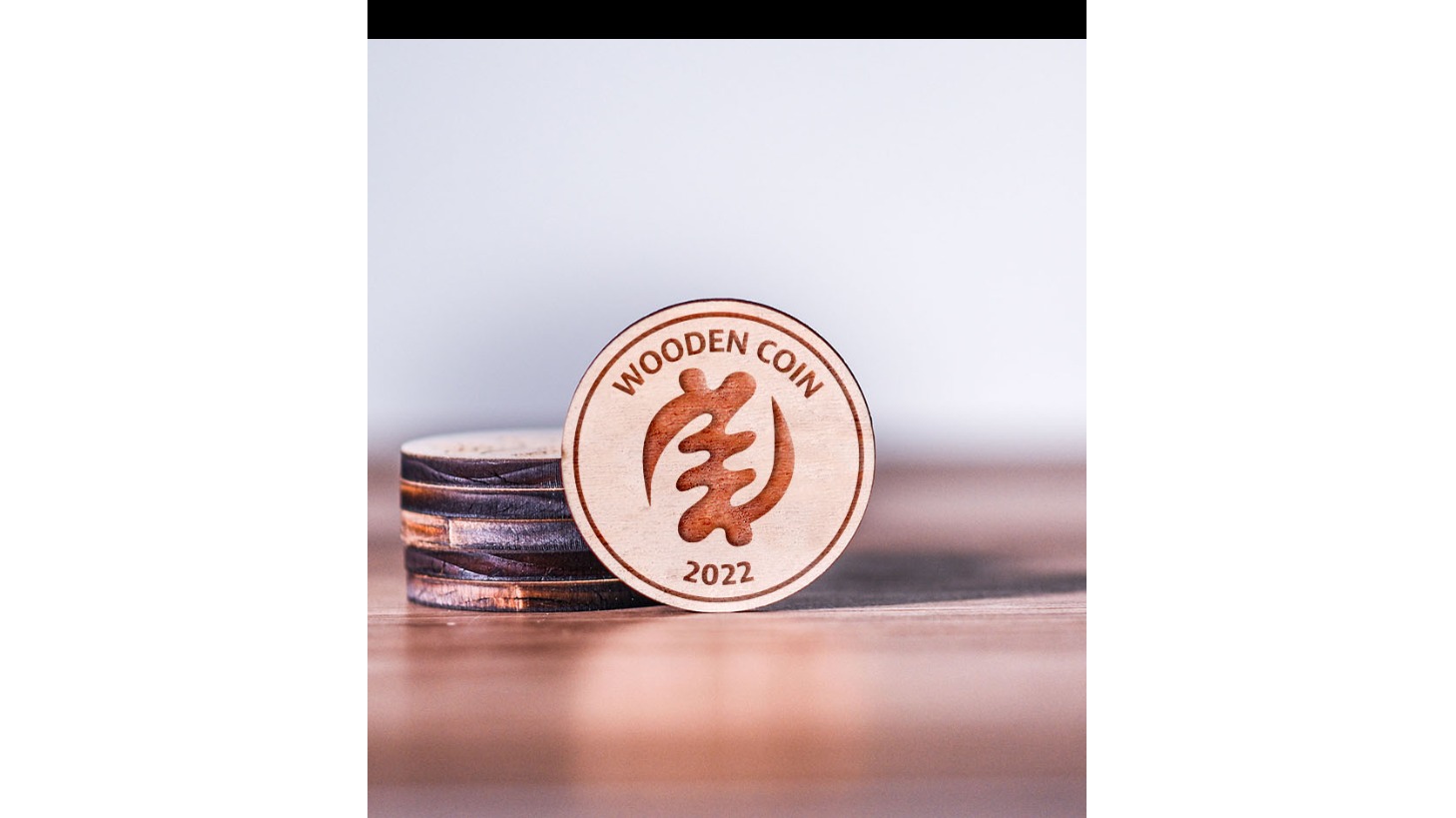 Food Coin Program