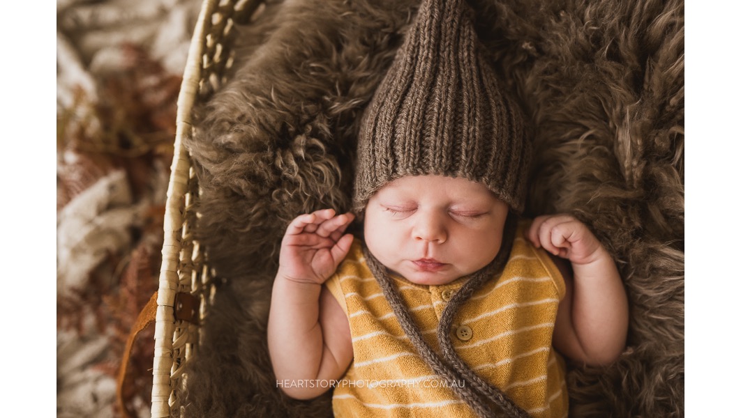Baby Olive