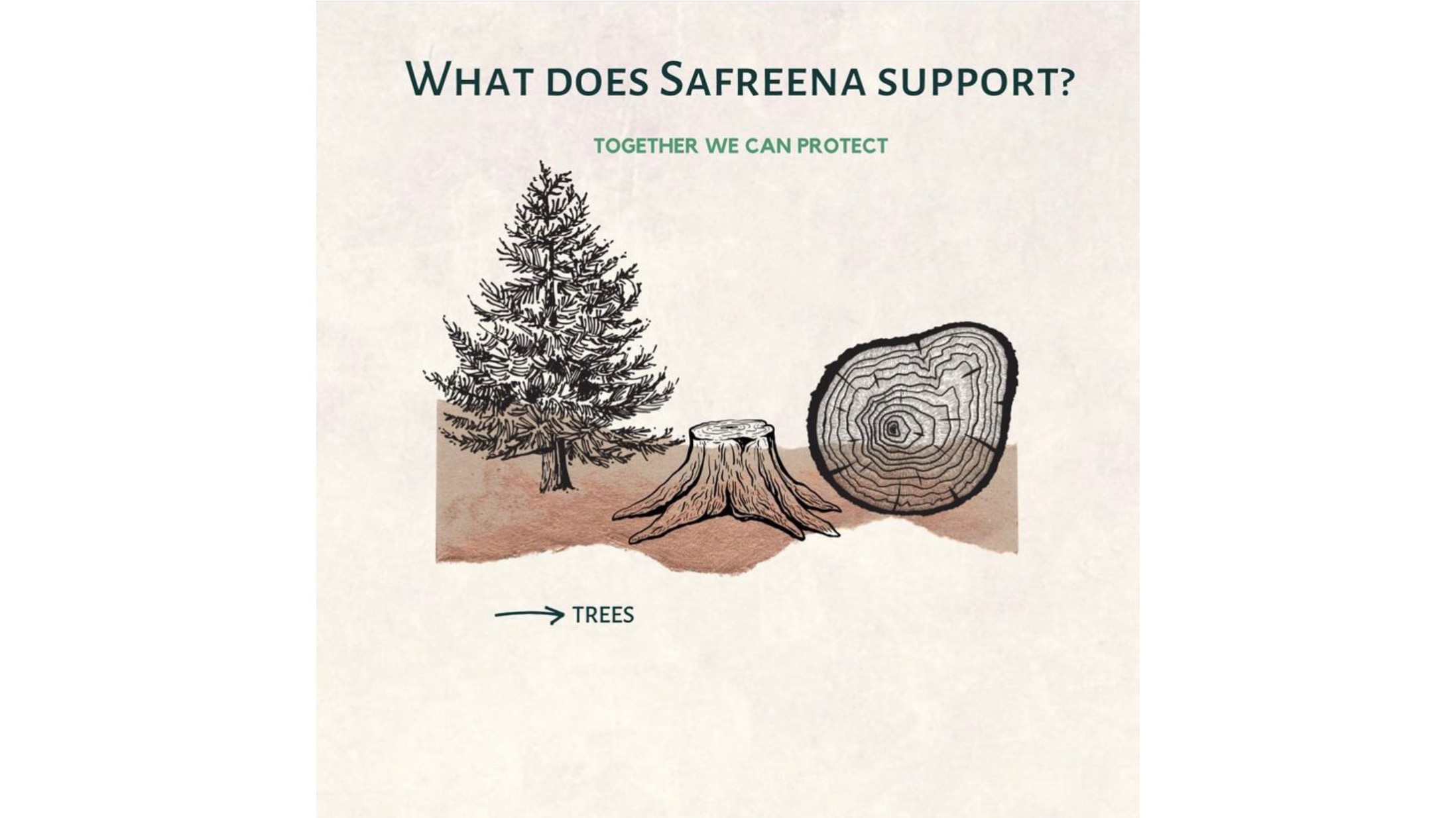 Safreena Project