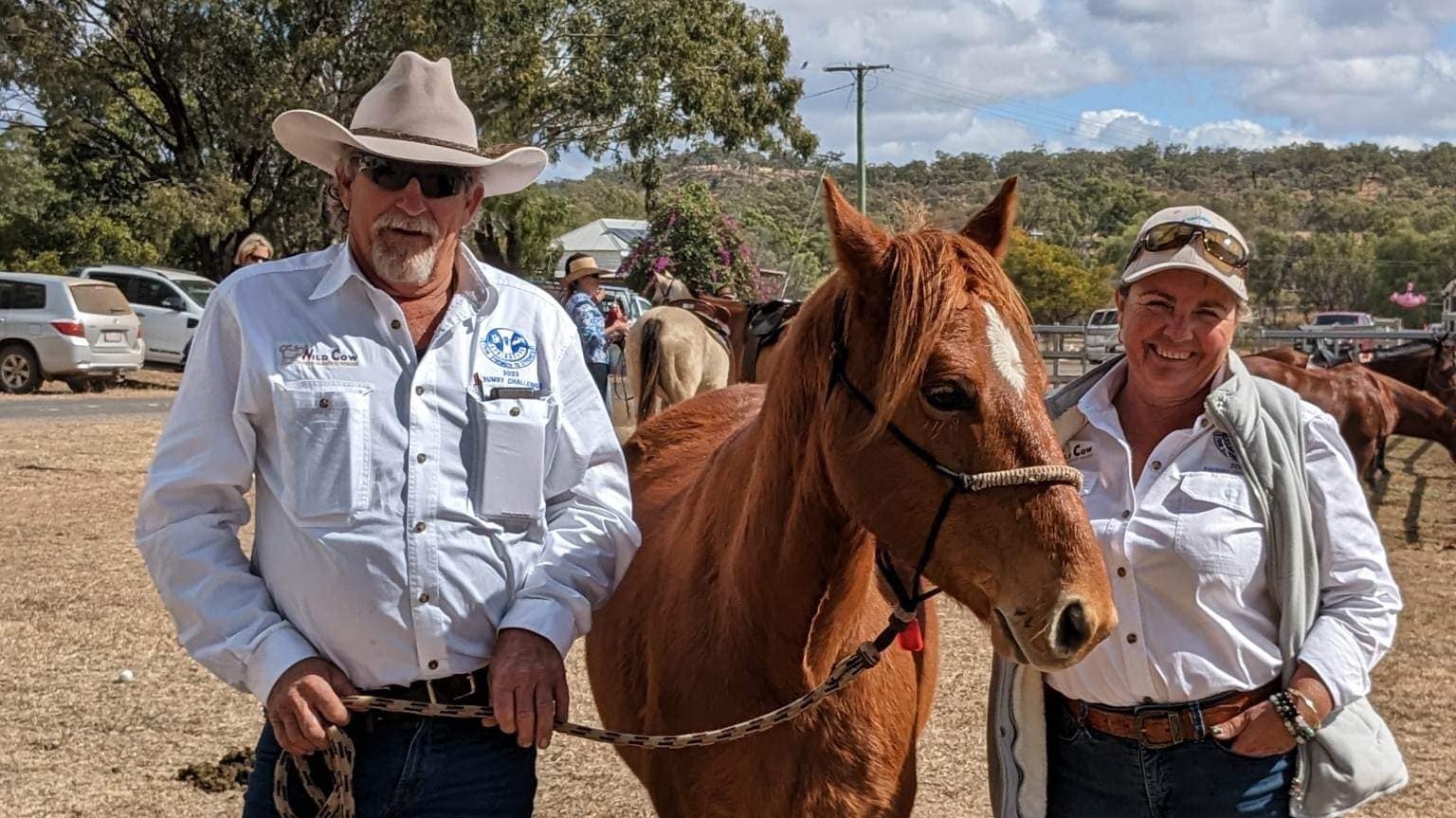 LETS HELP CLEARVIEW BRUMBY RESCUE