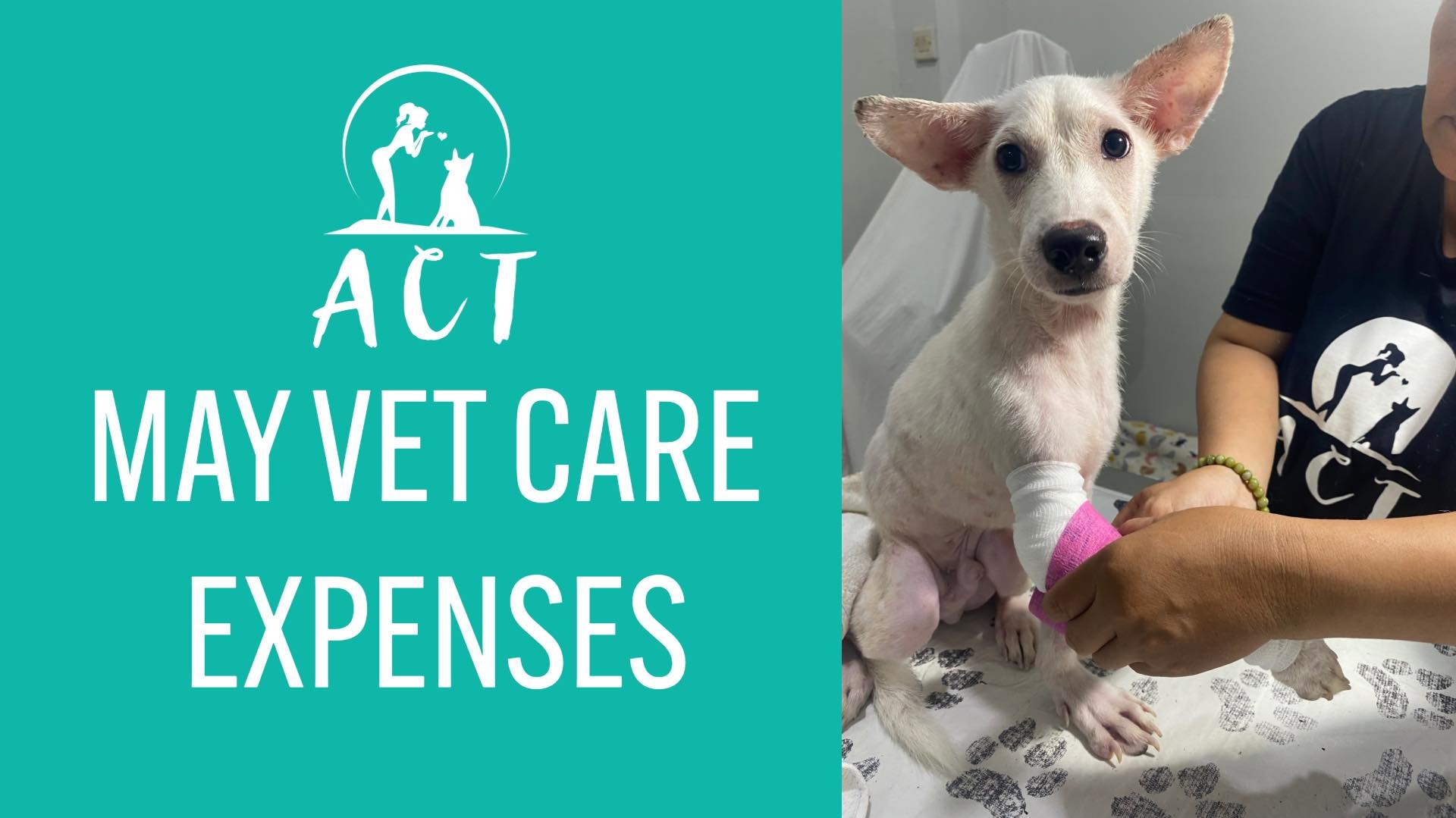 MAY VET CARE EXPENSES