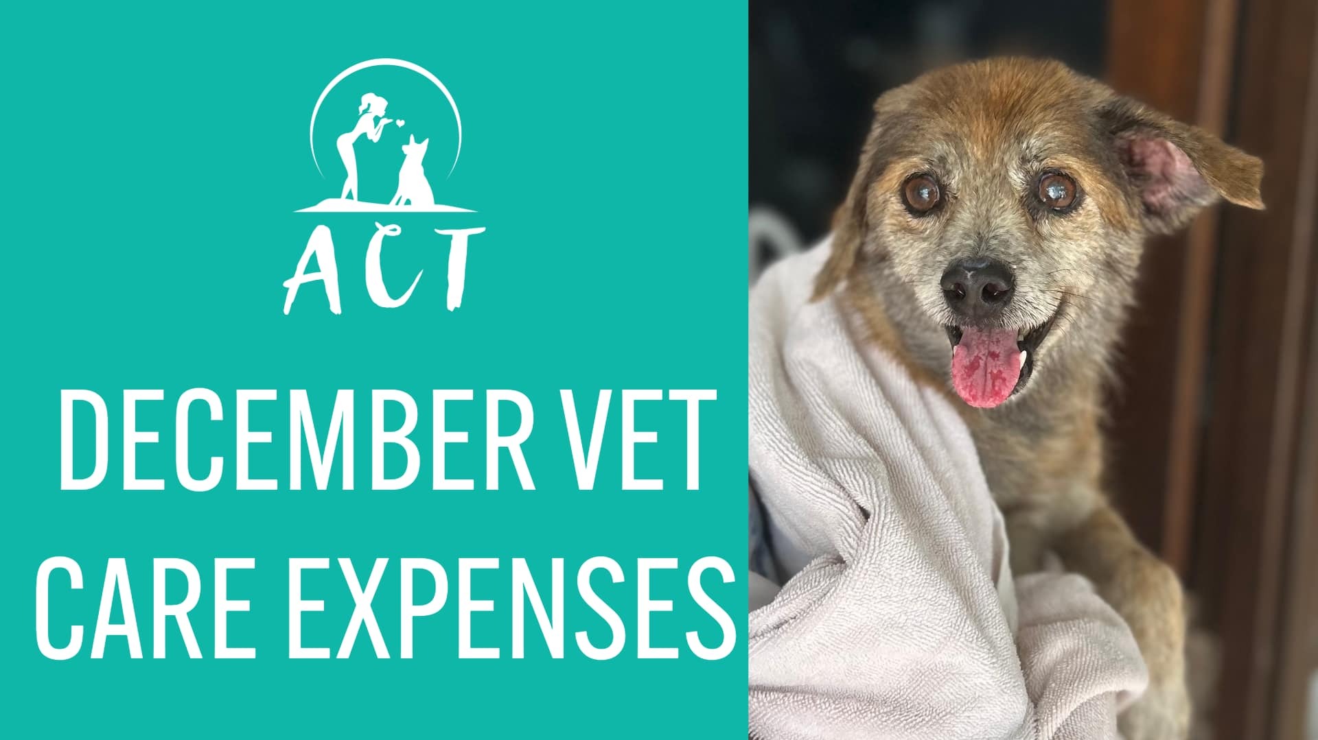 DECEMBER VET CARE EXPENSES
