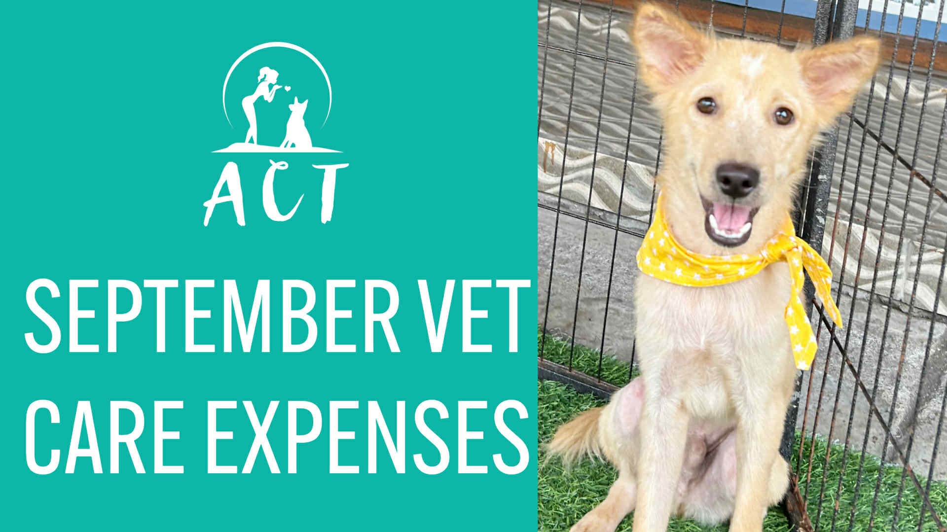 SEPTEMBER VET CARE EXPENSES