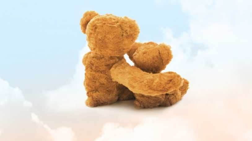 Help us help Bears of Hope