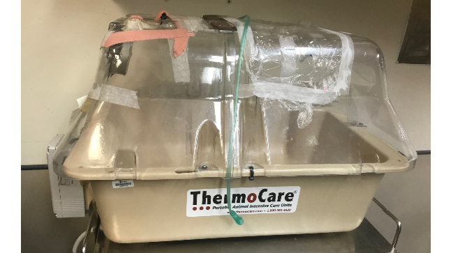 Lort Smith's Urgent Humidicrib Appeal